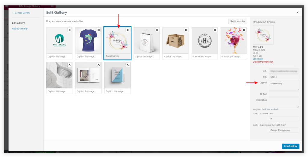 How to Add an Image Caption