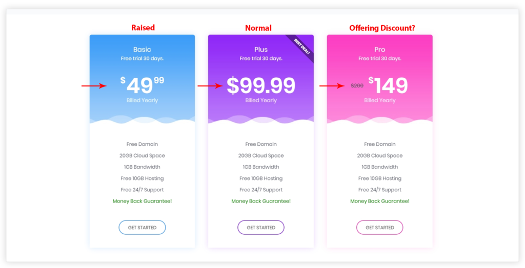 Normal and Raised format for Price