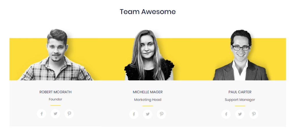 Fastest Way to Design Team Members Page With Elementor