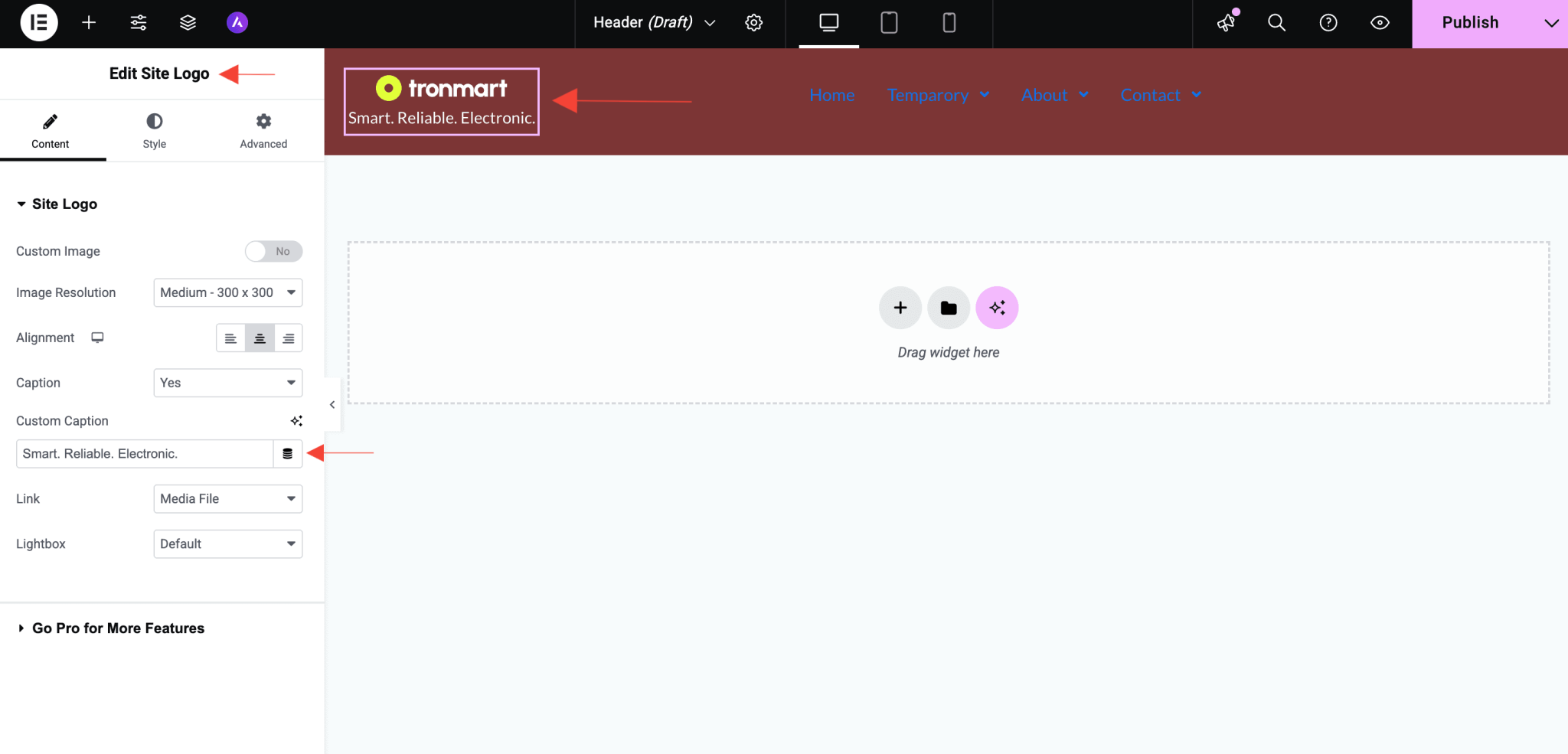 Site Logo Widget